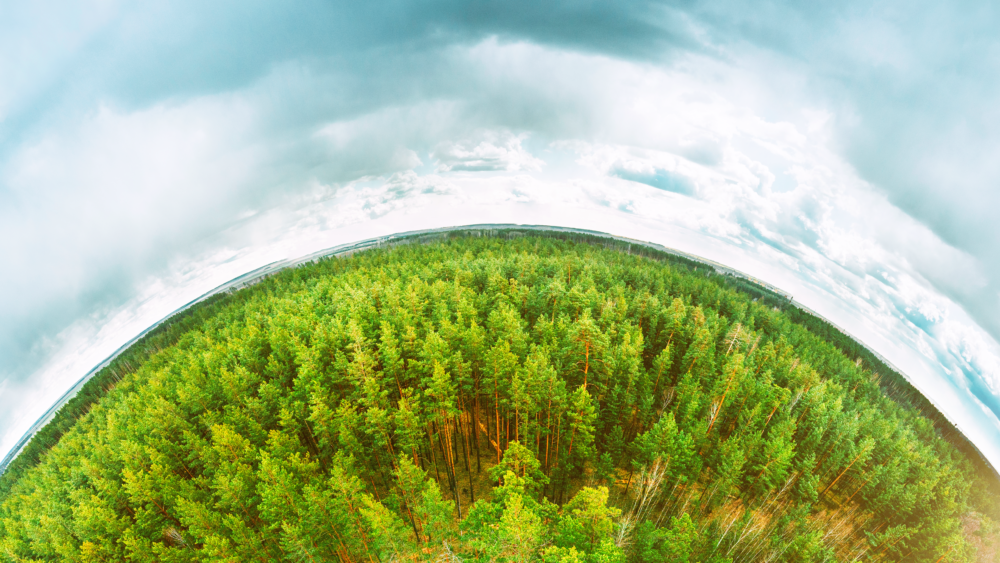 The future is green - Australian Geographic