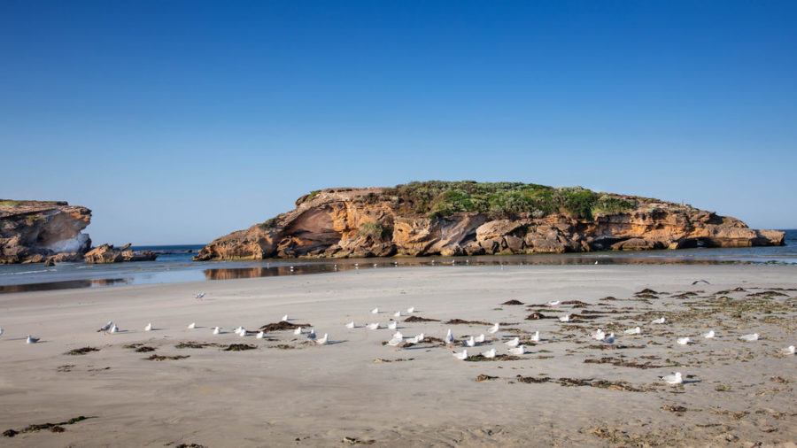 A complete guide to Warrnambool, VIC - Australian Geographic