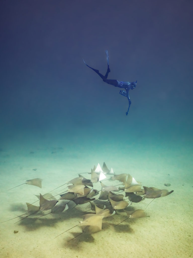 The photos you loved most in 2022 - Australian Geographic