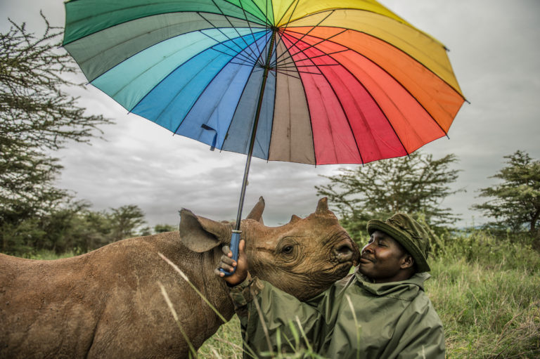 Vital Impacts: stunning photography inspires wonder and curiosity for ...