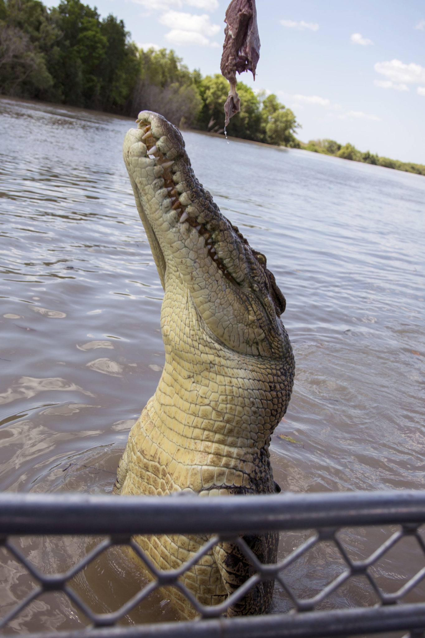 A complete guide to Humpty Doo, NT- Australian Geographic