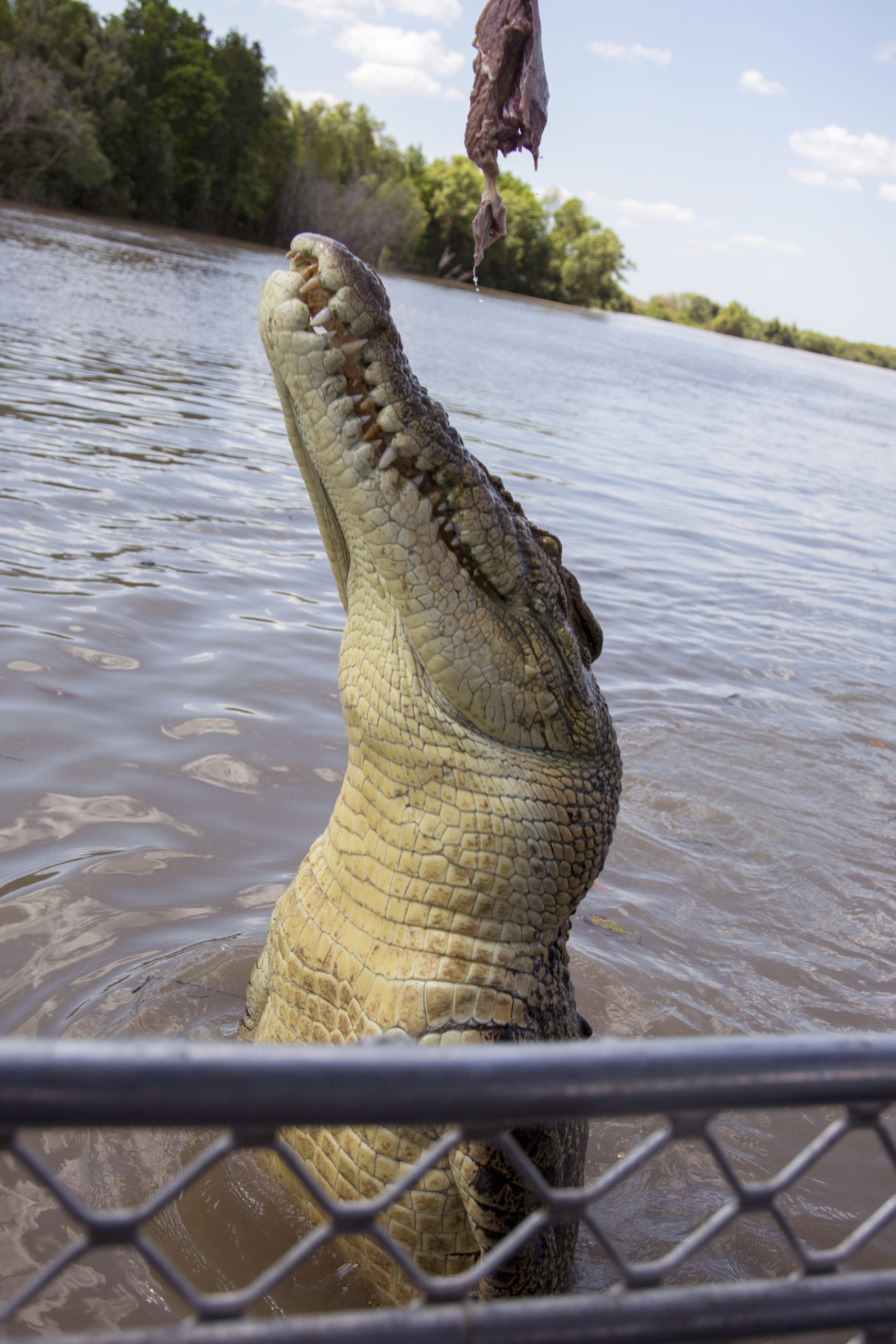 A complete guide to Humpty Doo, NT- Australian Geographic
