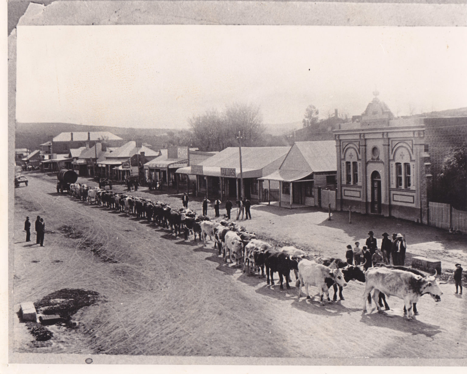 A complete guide to Adelong, NSW - Australian Geographic