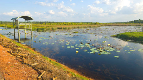 A complete guide to Humpty Doo, NT- Australian Geographic