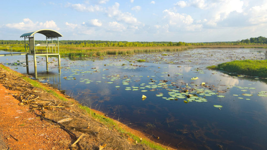 A complete guide to Humpty Doo, NT- Australian Geographic