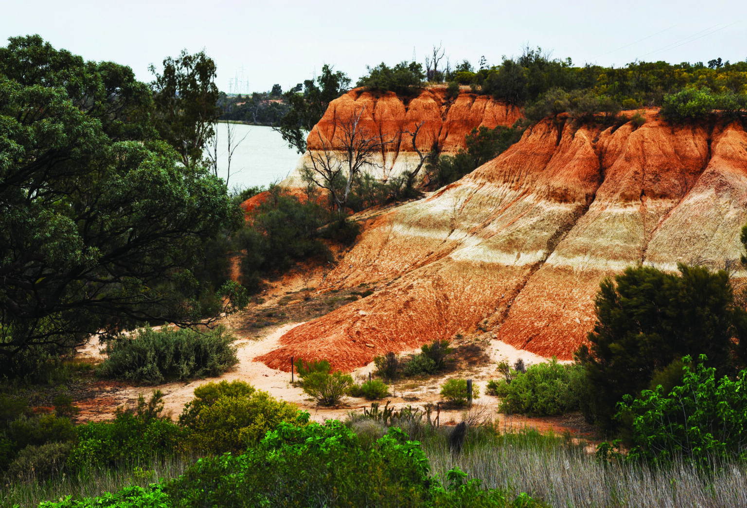 A complete guide to Red Cliffs, VIC - Australian Geographic