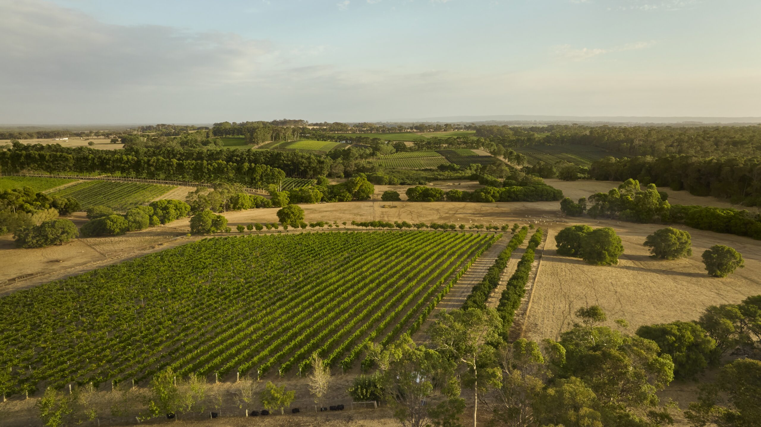 Living the good life - Australian Geographic