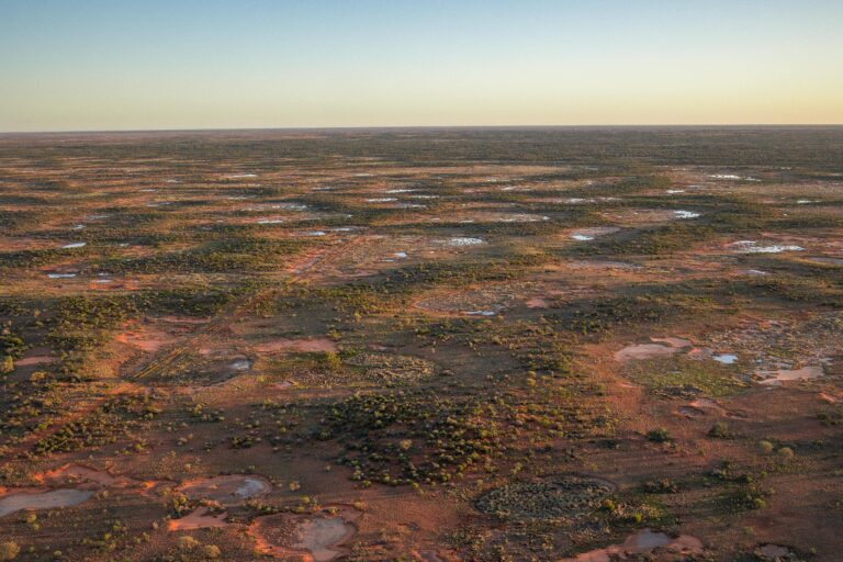 Massive land purchase for new national park "back o'Bourke" - Australian Geographic