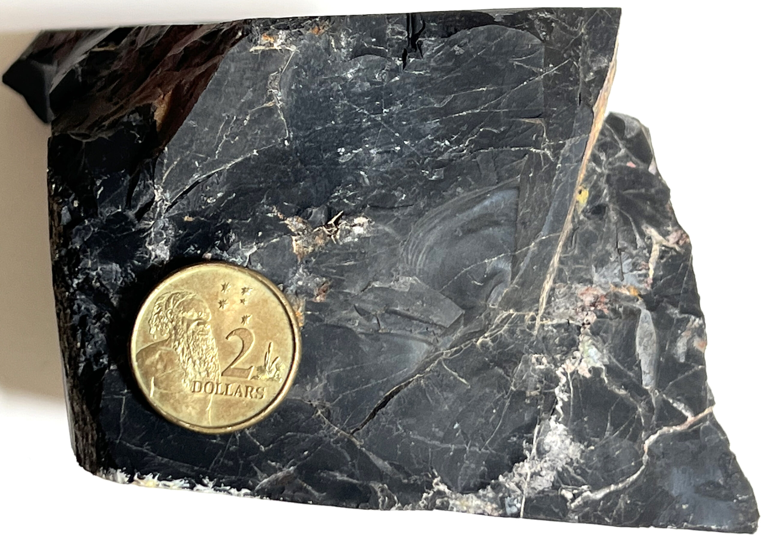 Questions raised about Western Australia as site of oldest signs of ...