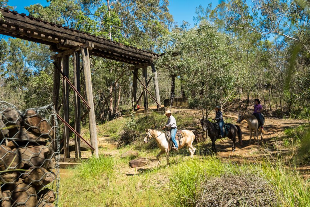 Brisbane Valley Rail Trail: 3 ways to choose your own adventure ...