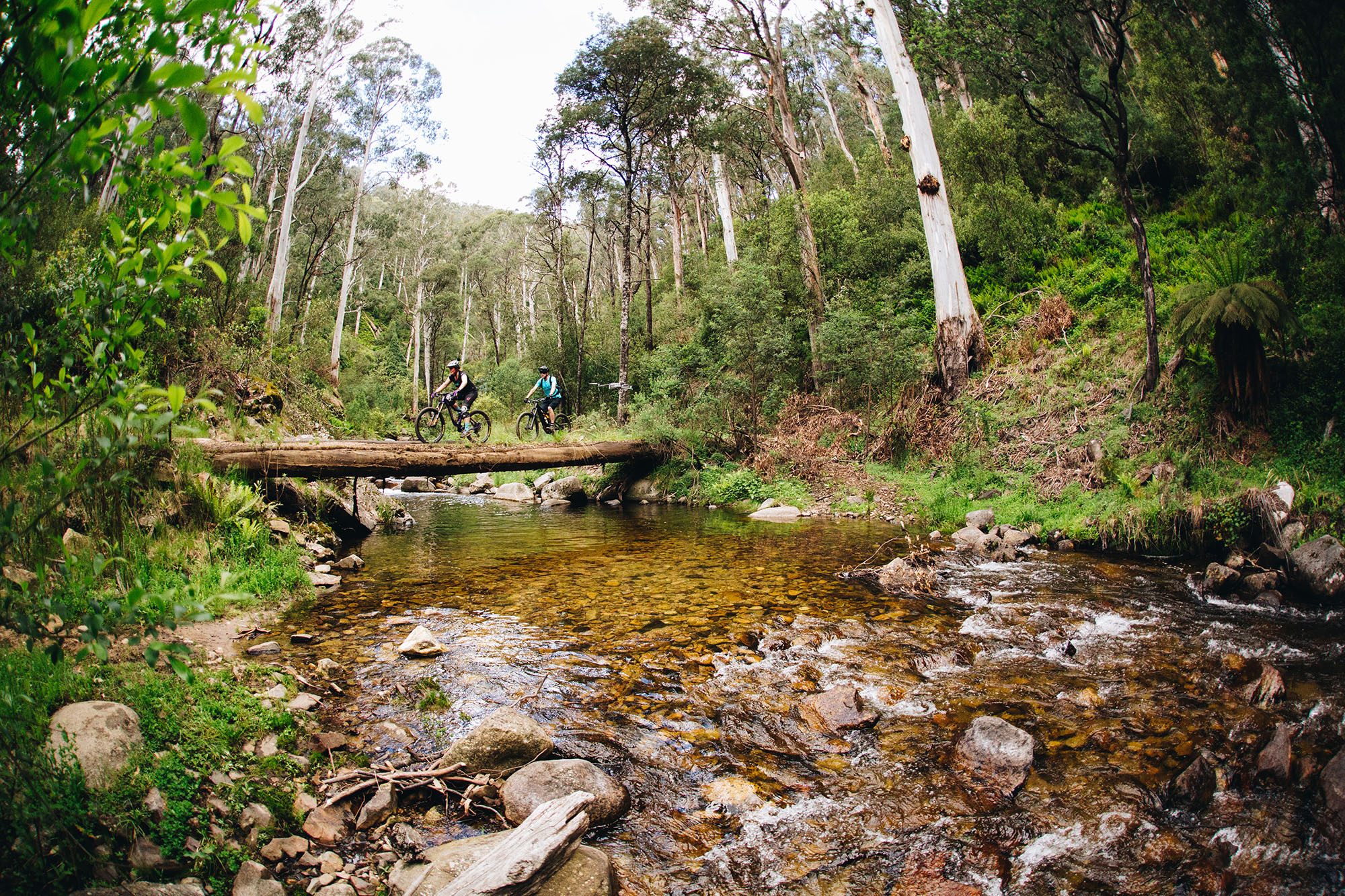 Outdoor adventures in Victoria’s High Country - Australian Geographic
