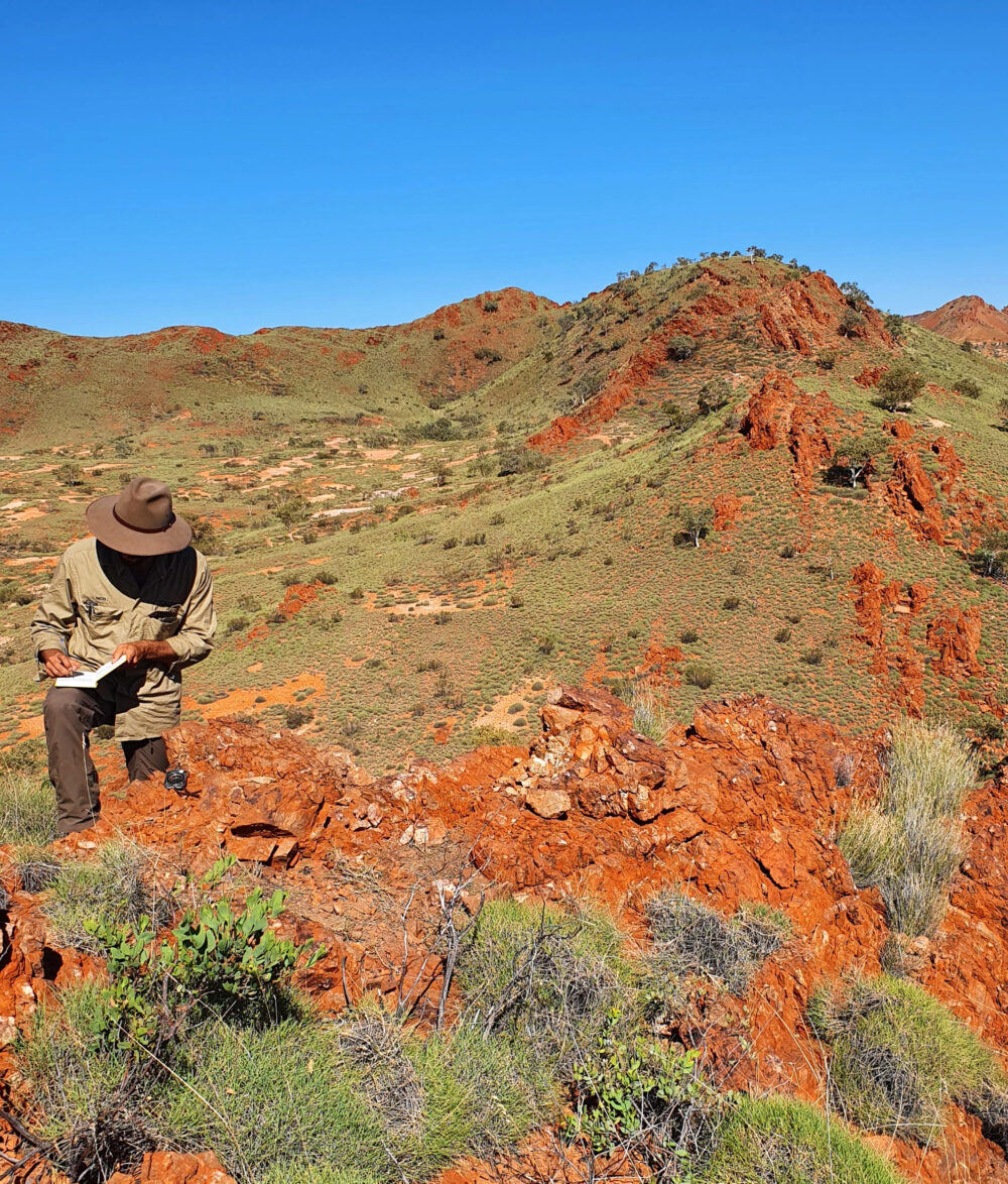 Questions raised about Western Australia as site of oldest signs of ...