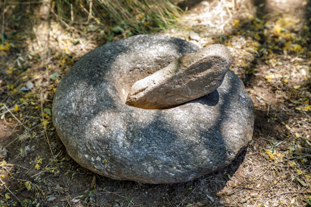 Aboriginal inventions: 10 enduring innovations - Australian Geographic