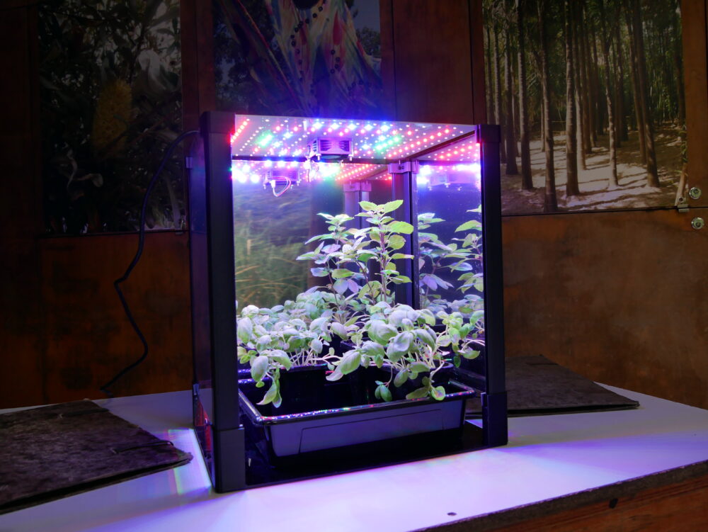 Aussie bush tucker could nourish NASA astronauts in space - Australian ...