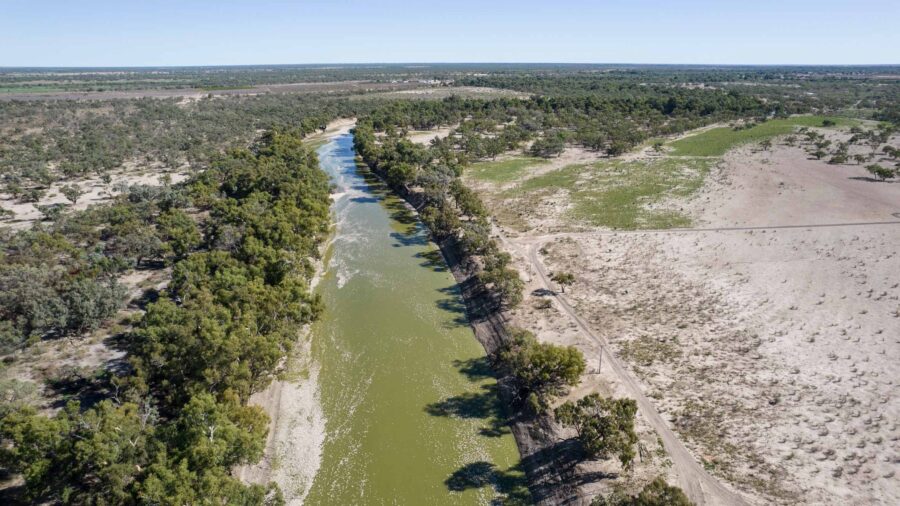 Menindee fish kill - Australian Geographic