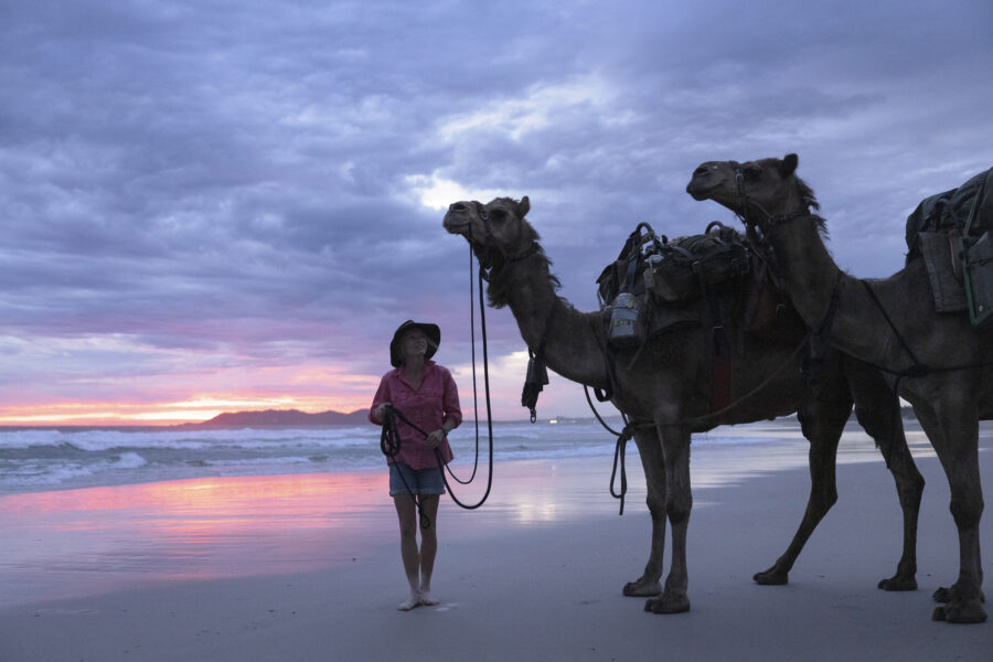 A camel odyssey complete - Australian Geographic