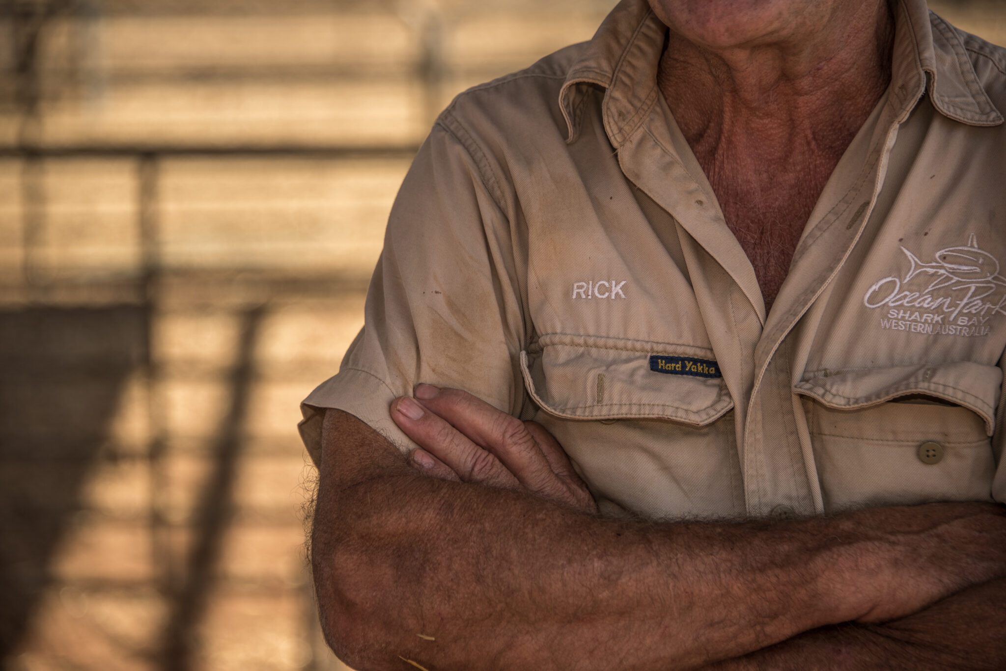 Meet the desert vet who befriended Red Dog, WA’s most famous canine ...
