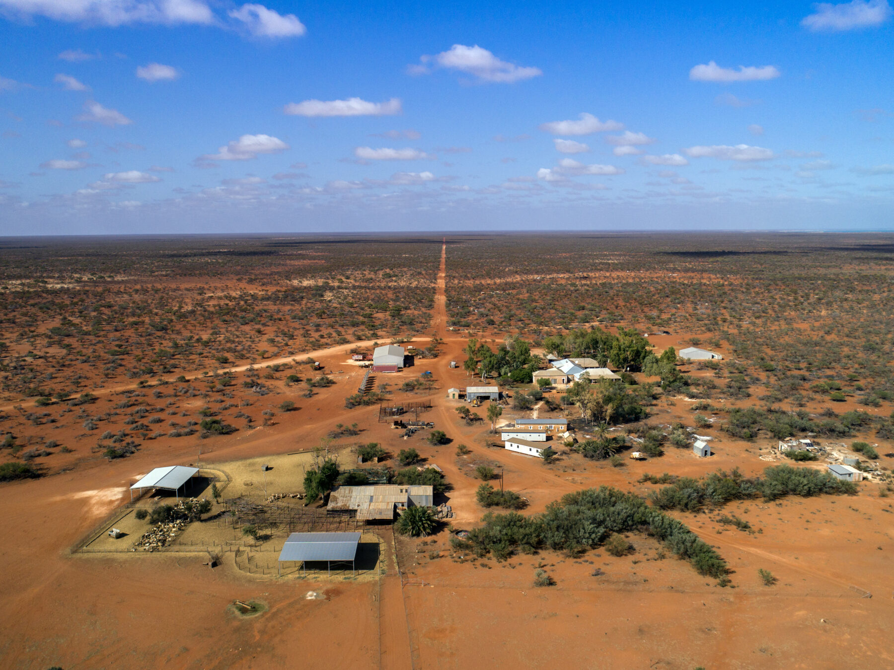 Meet the desert vet who befriended Red Dog, WA’s most famous canine ...