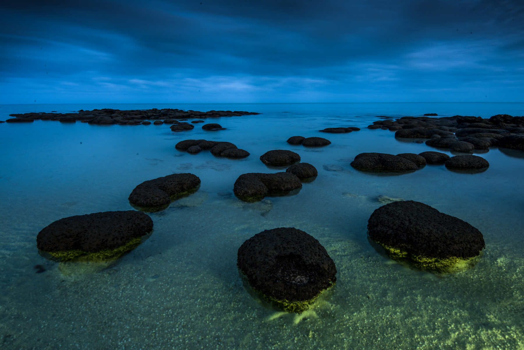 Meet the desert vet who befriended Red Dog, WA’s most famous canine ...