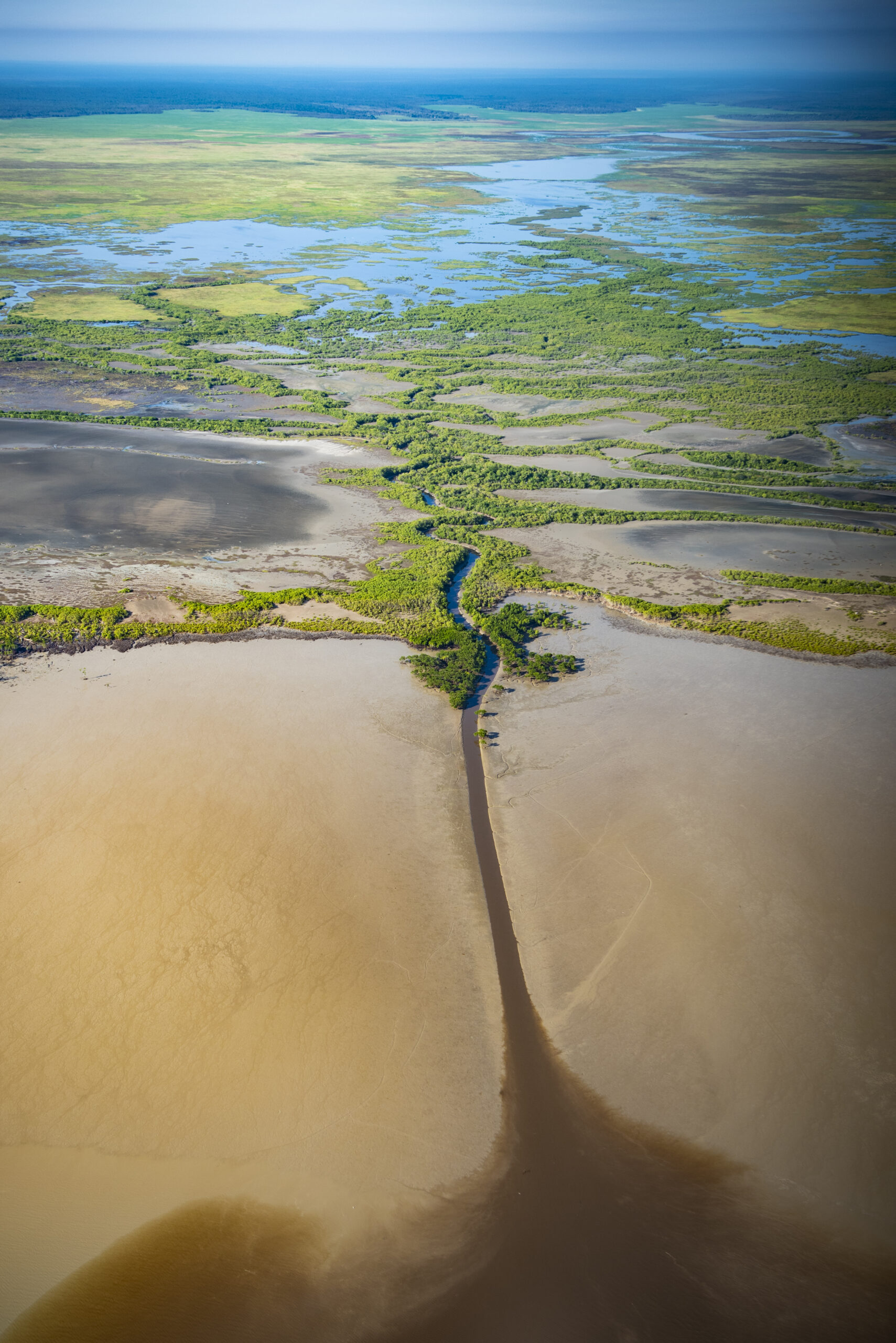 Just add water: Australia's wetlands are thriving. Here's why ...