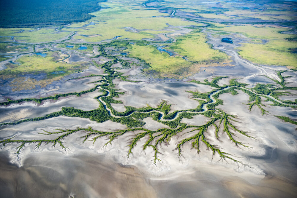 Just add water: Australia's wetlands are thriving. Here's why ...