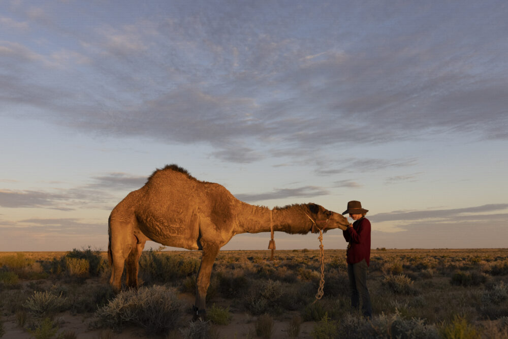 A camel odyssey complete - Australian Geographic
