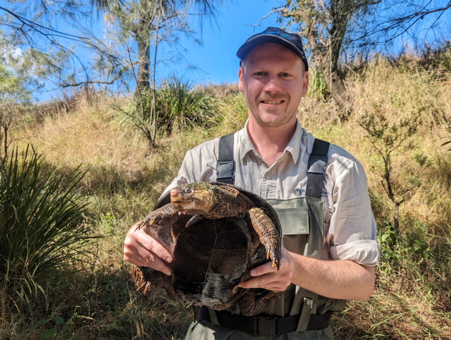Bum-breathing turtle discovered in Queensland river - Australian Geographic