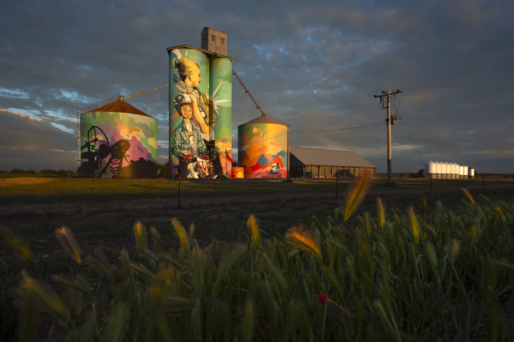 Follow your art - Australian Geographic