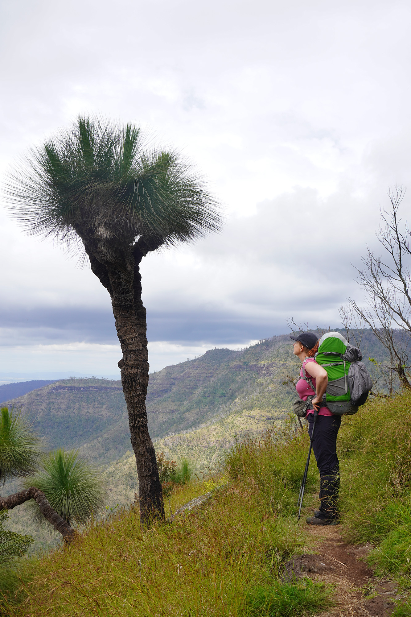 Into Poseidon’s Realm: A bushwalking epic on Queensland’s Scenic Rim Trail
