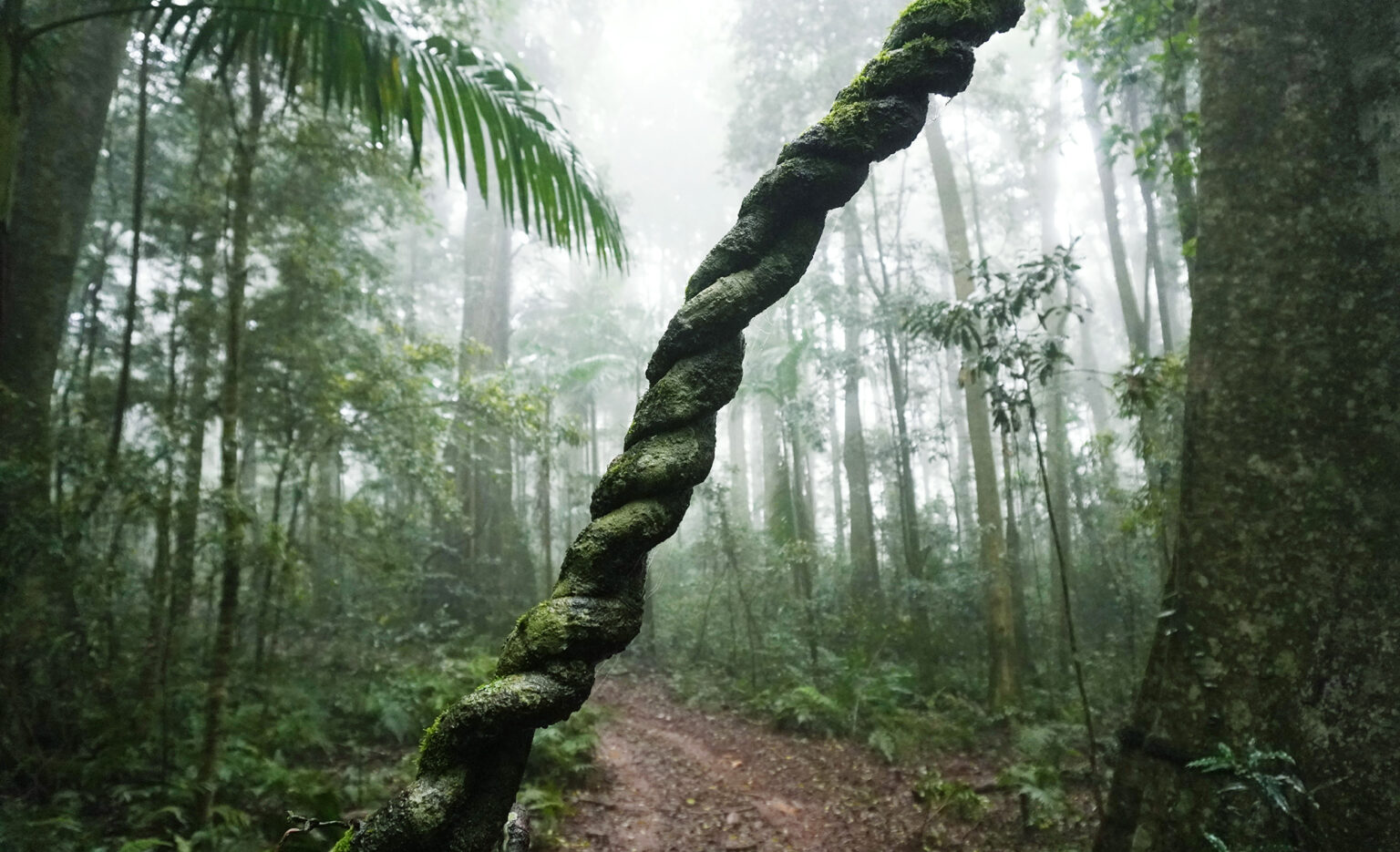 Australia's most dangerous predators - Australian Geographic