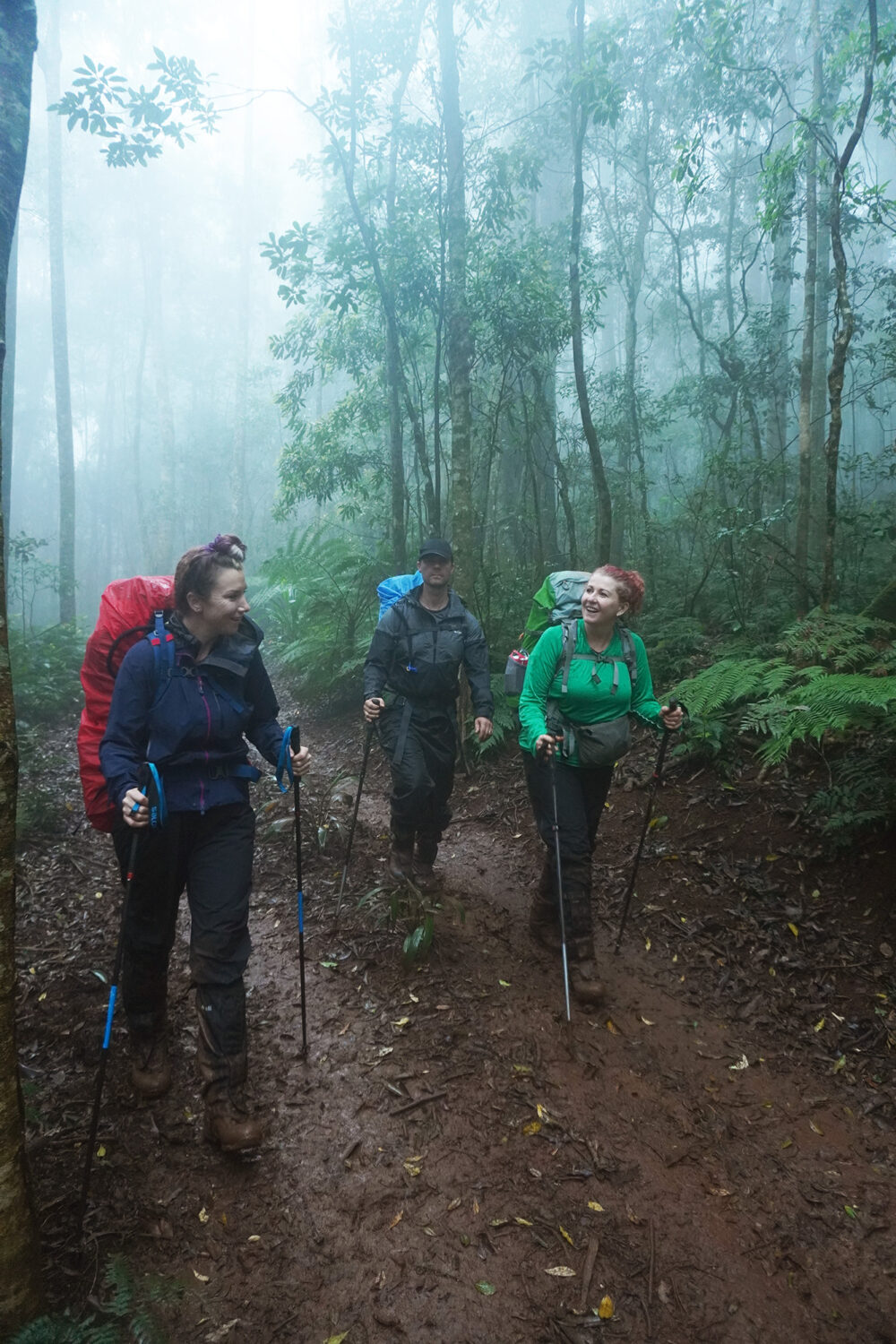 Into Poseidon’s Realm: A bushwalking epic on Queensland’s Scenic Rim Trail
