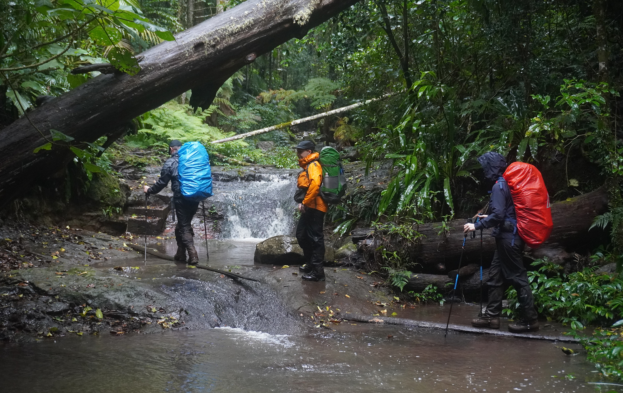 Into Poseidon’s Realm: A bushwalking epic on Queensland’s Scenic Rim Trail