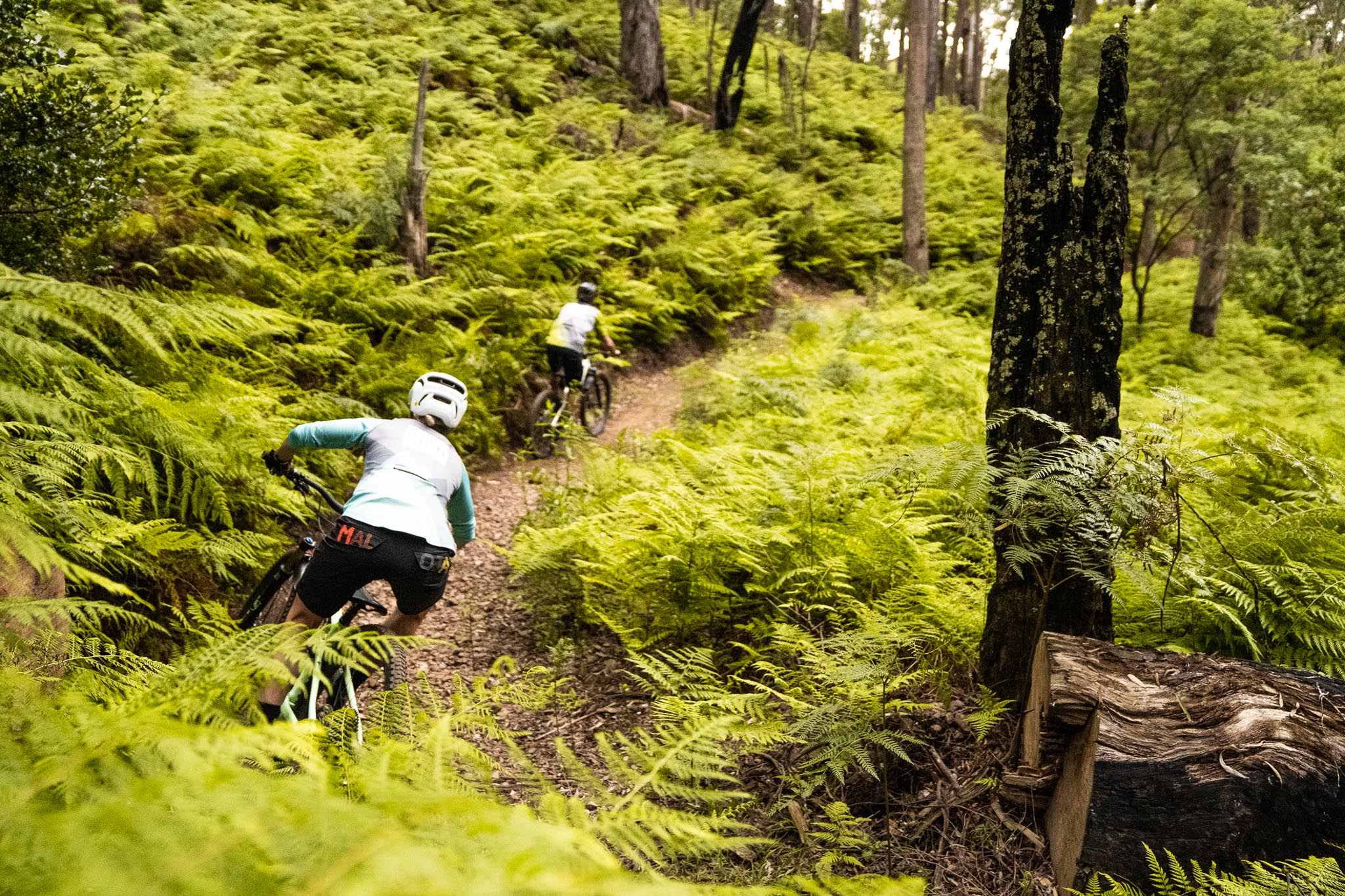 Ten amazing adventures in Victoria’s High Country