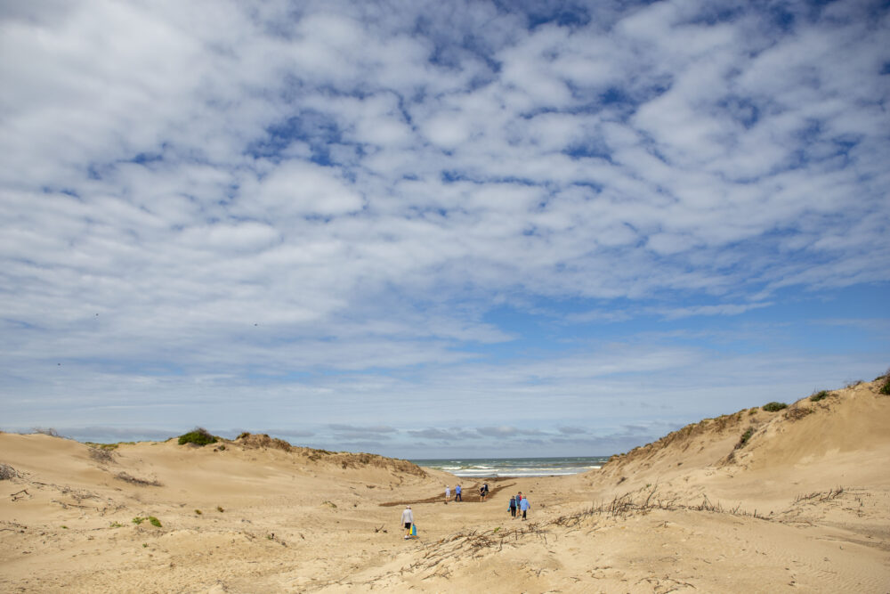 From outback to ocean - Australian Geographic