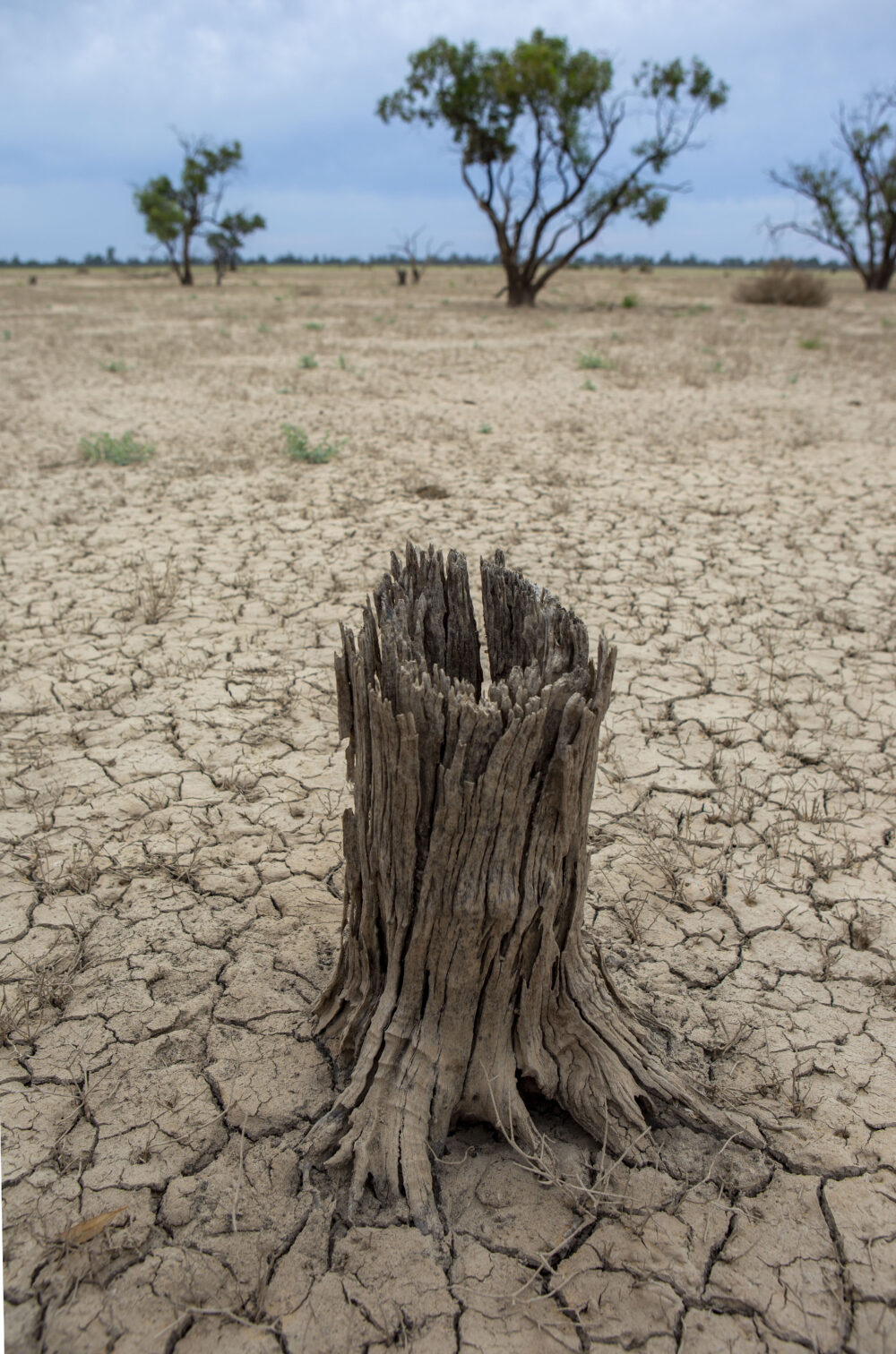 From outback to ocean - Australian Geographic