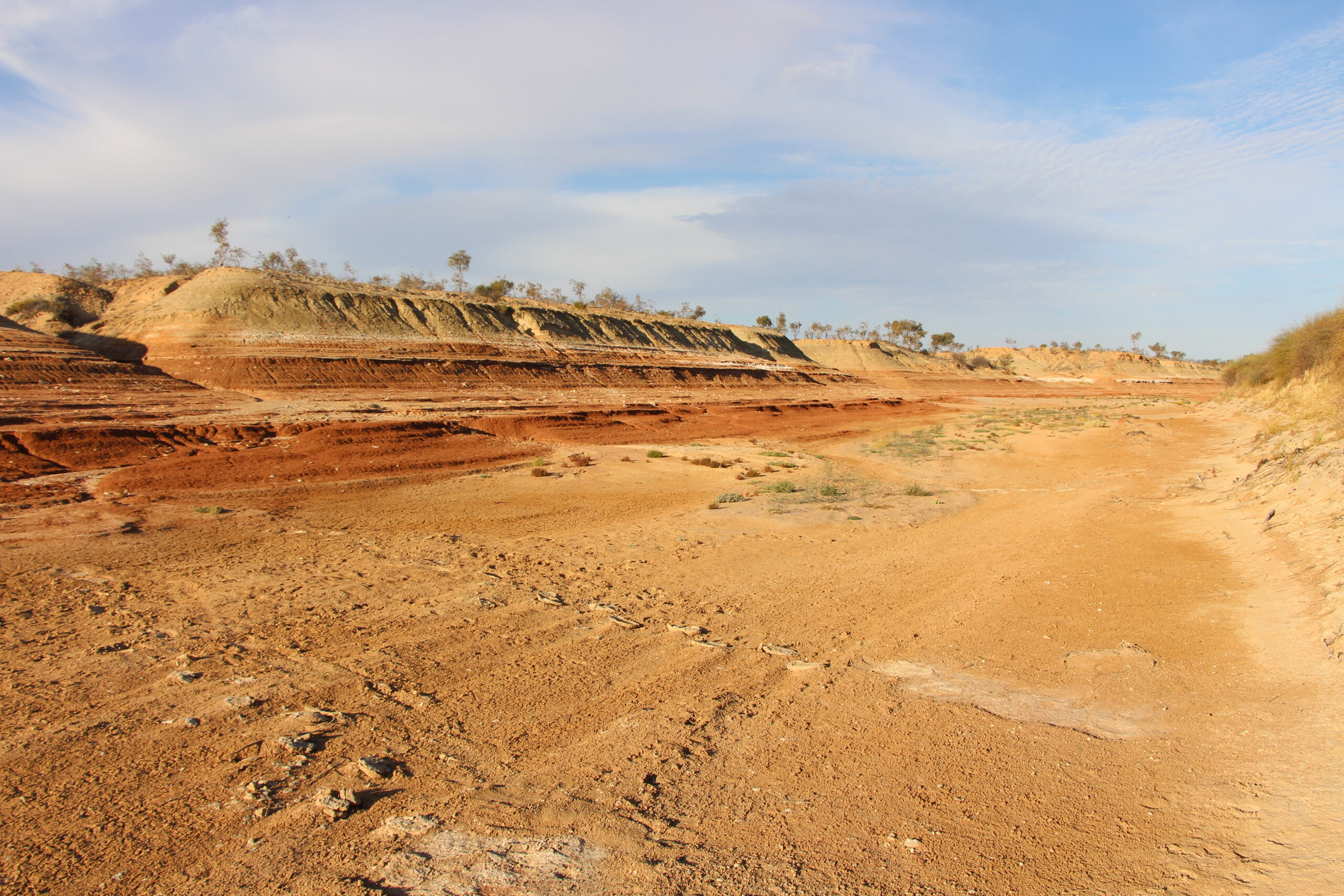 The incredible megafauna fossils of Kalamurina - Australian Geographic