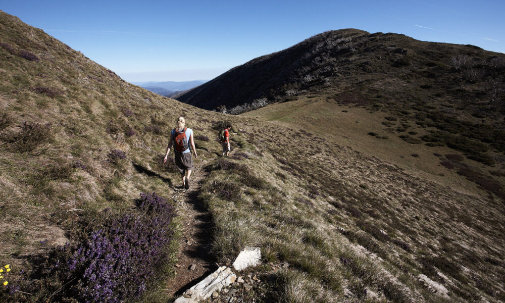 Ten amazing adventures in Victoria’s High Country