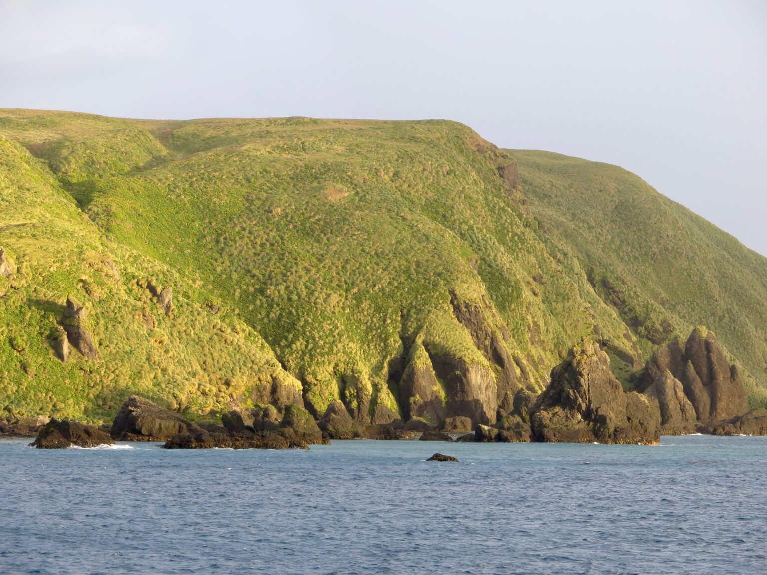 Native fish swims 800km to find a mate - Australian Geographic