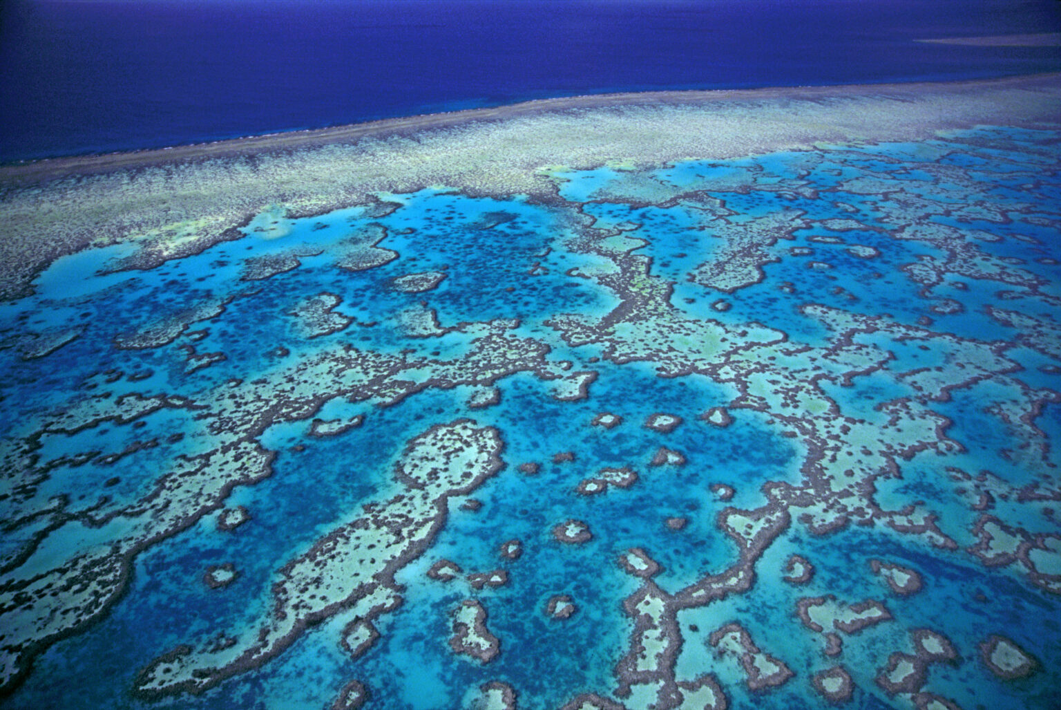 Is the Great Barrier Reef reviving – or dying?- Australian Geographic