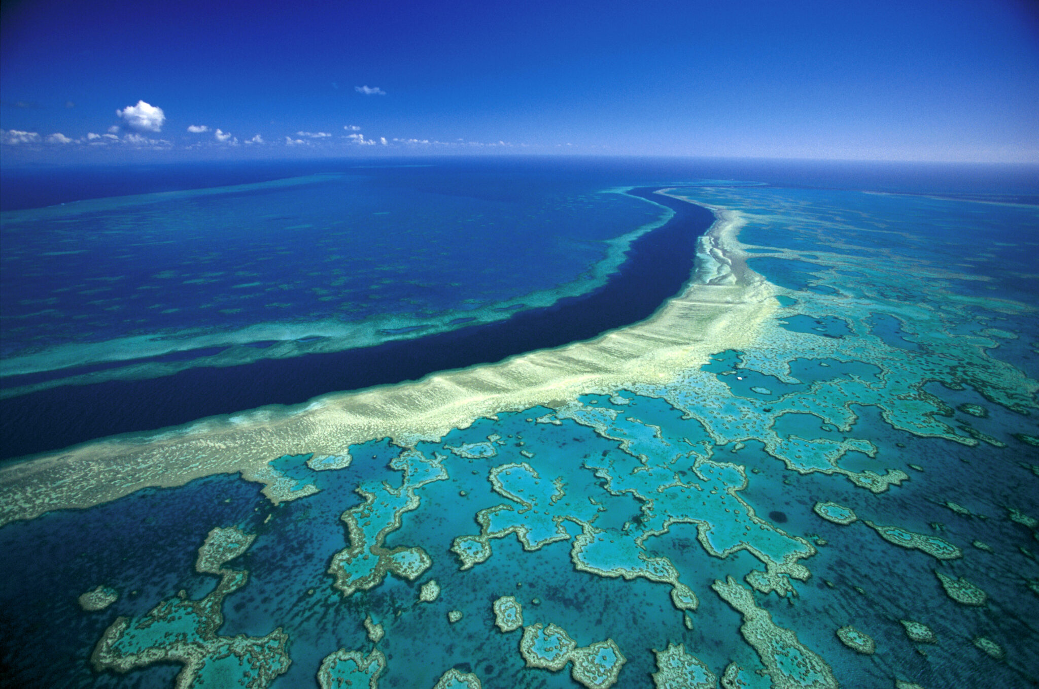Is the Great Barrier Reef reviving – or dying?- Australian Geographic