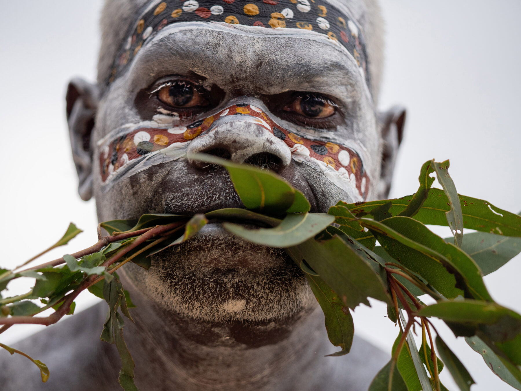 In pictures: Garma Festival 2023 - Australian Geographic