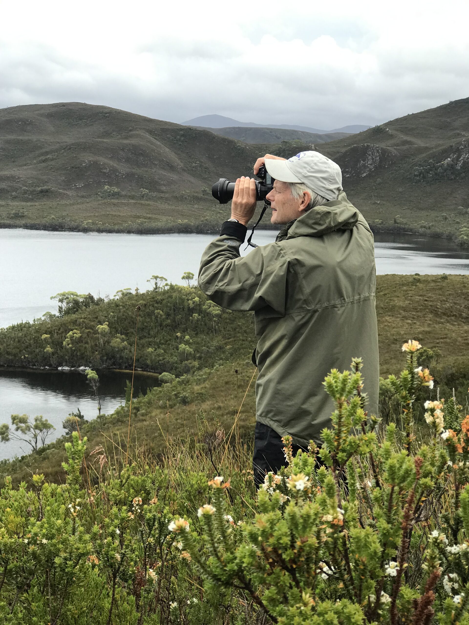 The story behind the photo: 'Frog in a Bog' by Tom Owen Edmunds ...
