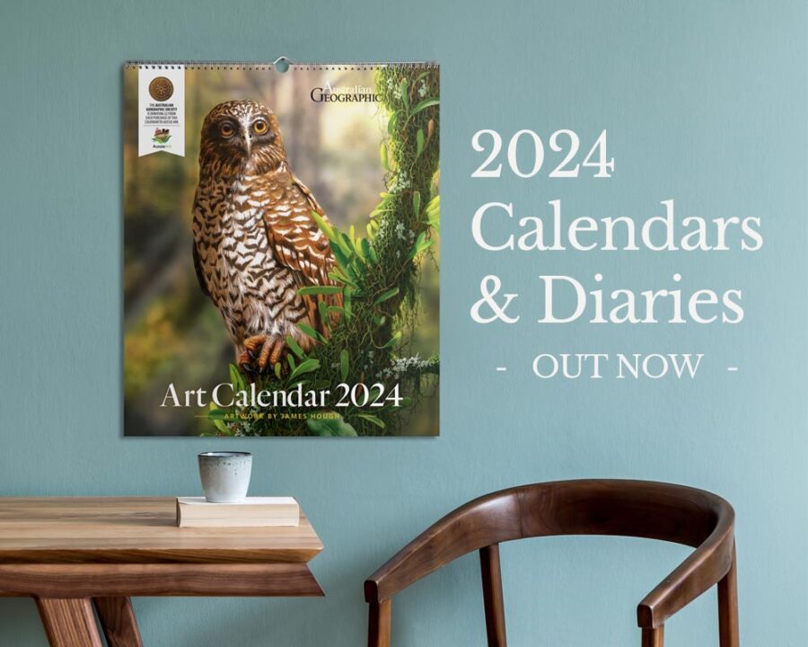 Python parasite pulled from Australian woman's brain - Australian ...