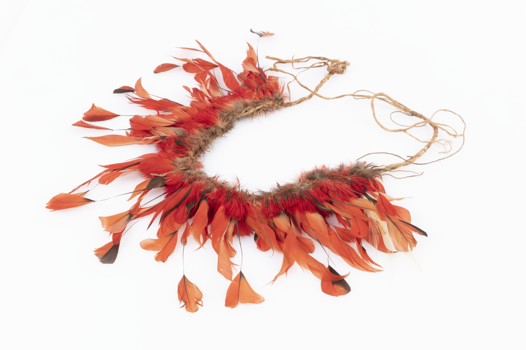 The art of body adornment in Papua New Guinea - Australian Geographic