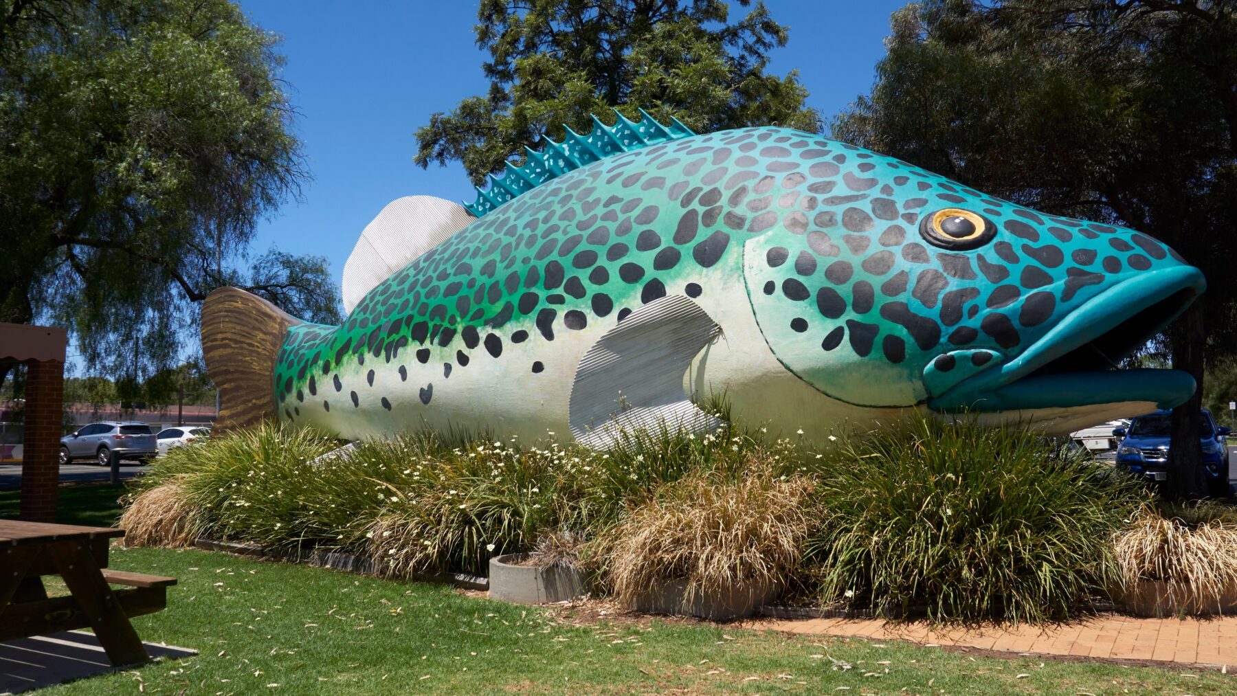 A complete guide to Swan Hill, VIC - Australian Geographic