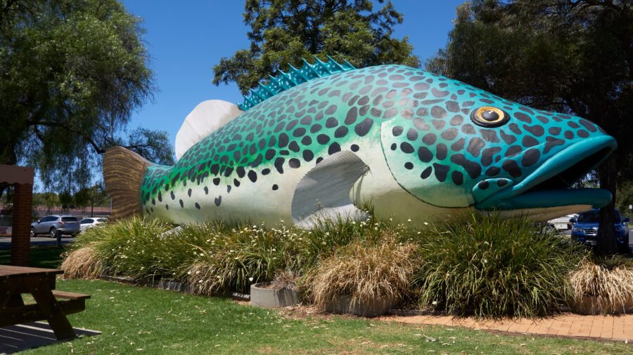 A complete guide to Swan Hill, VIC - Australian Geographic