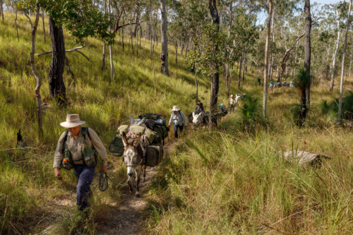 DNA confirms Aboriginal culture one of Earth's oldest - Australian ...