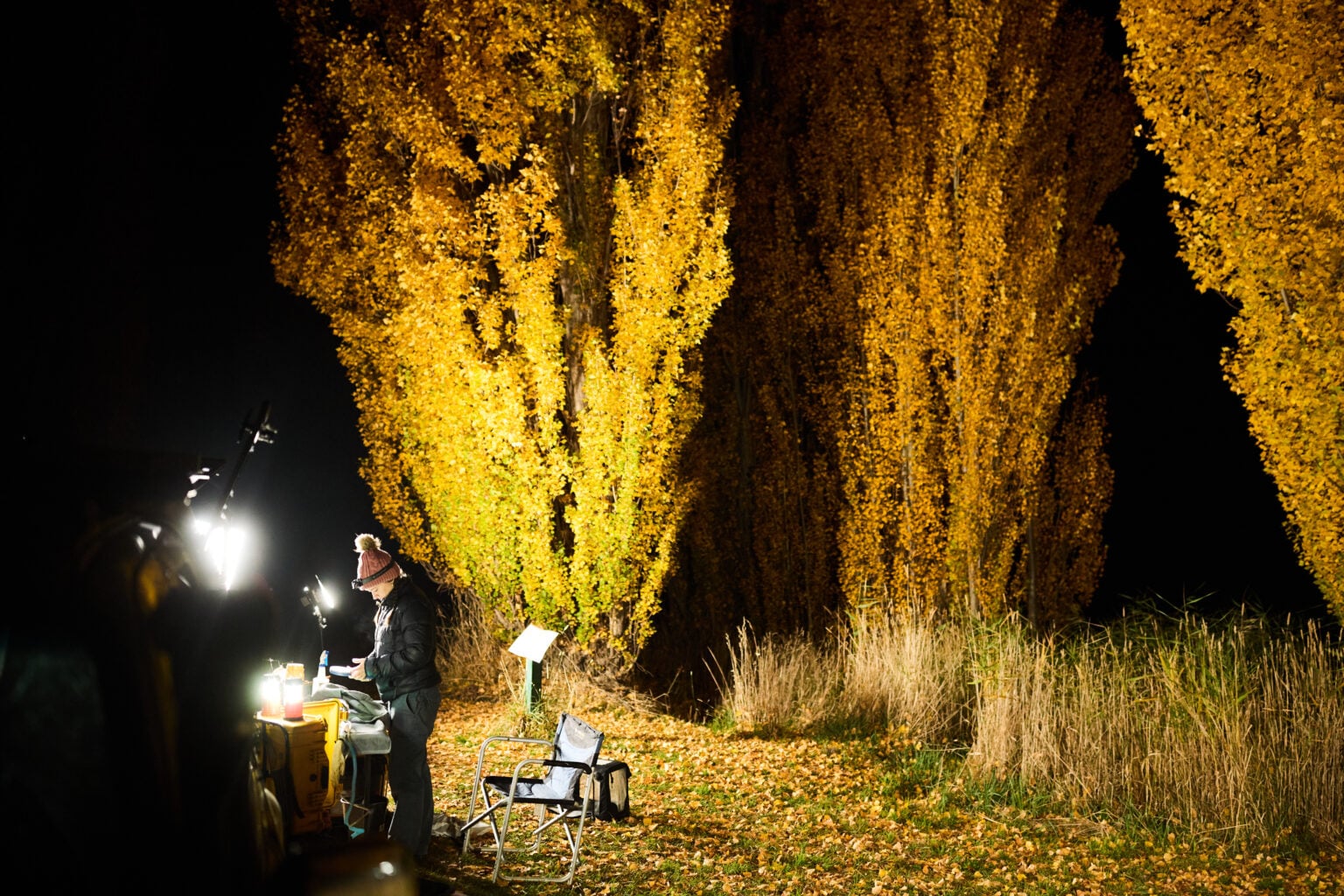 How to rebuild a platypus population - Australian Geographic