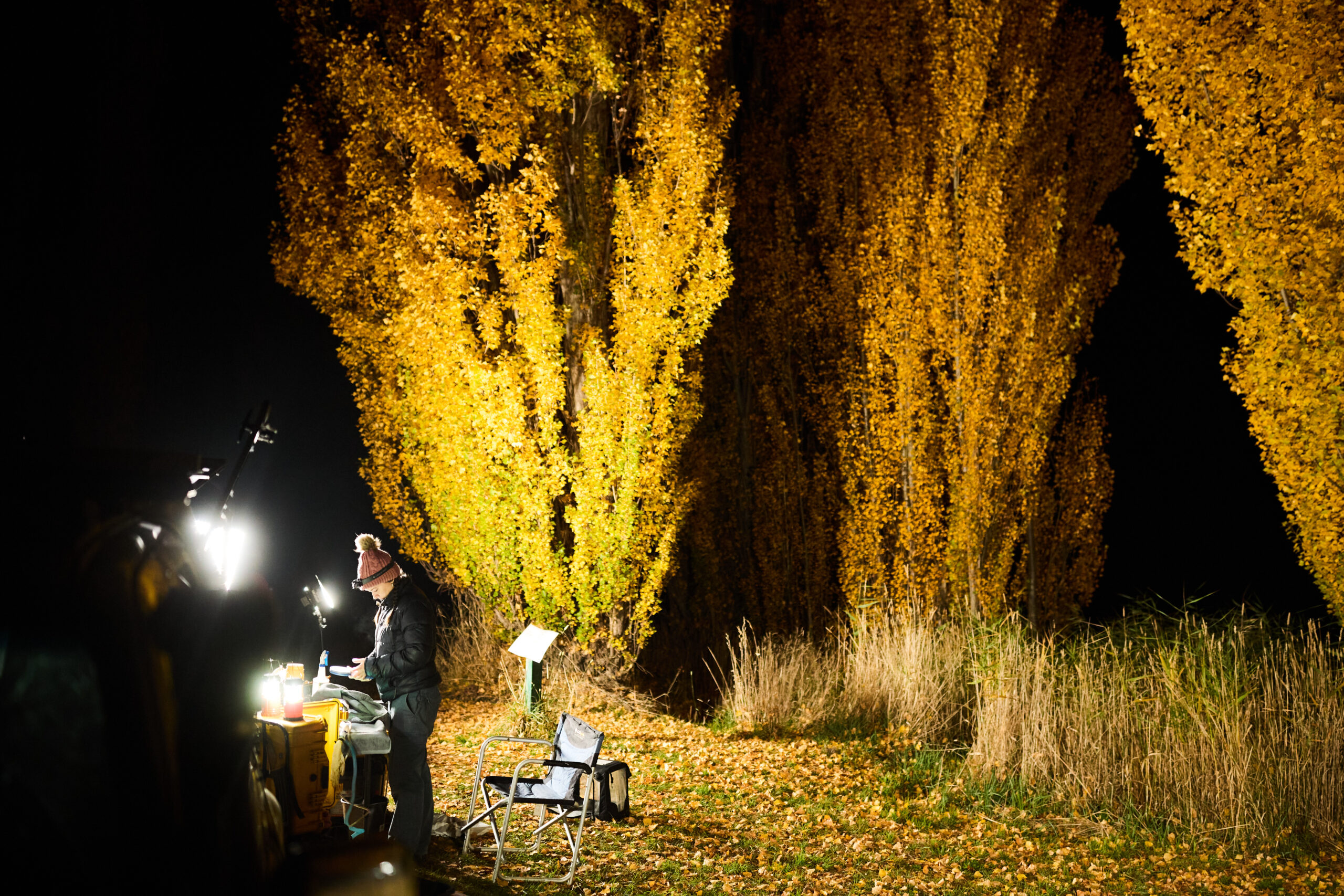 How to rebuild a platypus population - Australian Geographic