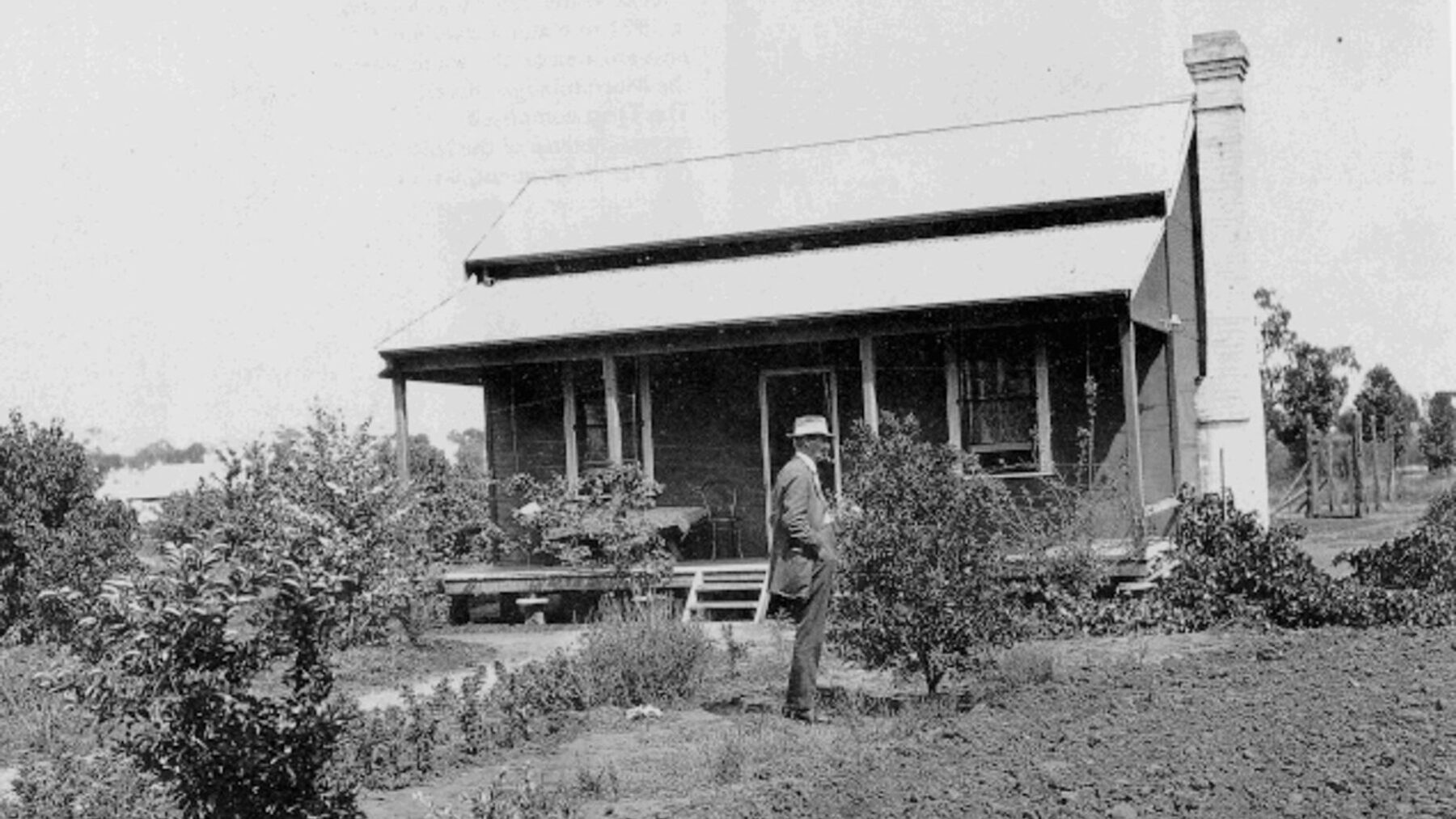 A complete guide to Leeton, NSW - Australian Geographic